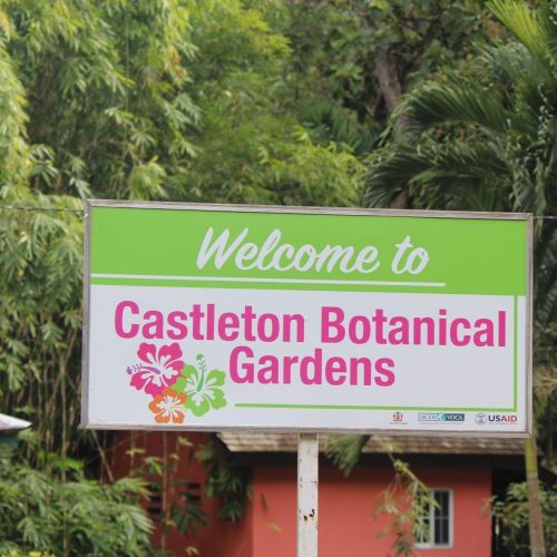 Castleton Gardens (Jamaica) 2022 – The Ultimate Experience